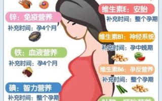 胎儿偏小吃什么补得快_孕期营养怎么补