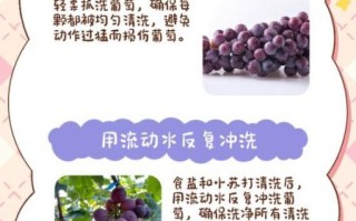 怎么洗葡萄_葡萄怎么洗干净