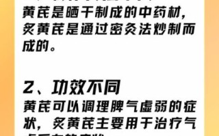 炙黄芪和黄芪的区别_哪个更适合补气