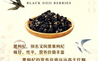 黑枸杞怎么吃补肾_黑枸杞补肾的正确吃法