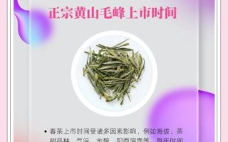 黄山毛峰属于什么茶_黄山毛峰口感怎么样