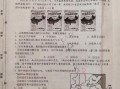 初二地理上册期末试卷_如何高效复习拿高分