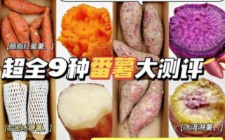 一个红薯的热量是多少_减肥能吃吗