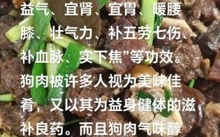 狗肉怎么做好吃_狗肉的做法大全