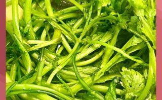茼蒿怎么炒好吃又简单_茼蒿炒几分钟才脆嫩