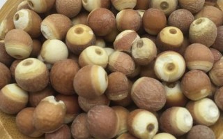 芡实长什么样_芡实图片特征