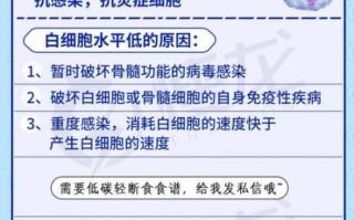 白细胞低的原因及后果_怎么治疗