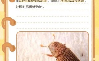 黑粉虫长什么样_黑粉虫怎么消灭