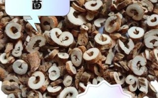 丹皮的功效与作用_丹皮怎么吃效果最好