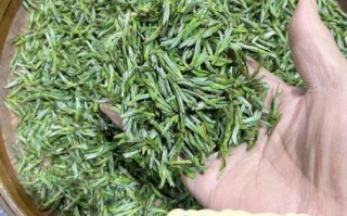 黄山毛峰图片怎么拍_黄山毛峰长什么样