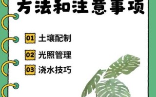 凤尾竹图片高清大图_如何养护凤尾竹