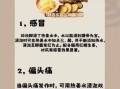 姜汤治感冒的做法_感冒喝姜汤多久见效