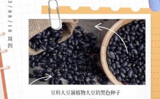 黑豆的功效与作用及食用量_黑豆一天吃多少粒合适