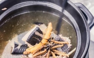 蛇汤怎么煲_蛇汤做法步骤详解