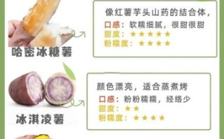 甜薯和红薯的区别_哪个更甜