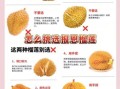 榴莲怎么吃才好吃_榴莲怎么挑选才香甜