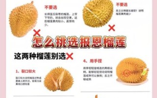 榴莲怎么吃才好吃_榴莲怎么挑选才香甜