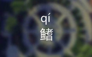 鱼鳍读音是什么_鱼鳍拼音怎么写