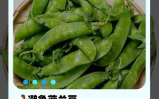 荷兰豆不能和什么一起吃_荷兰豆禁忌有哪些