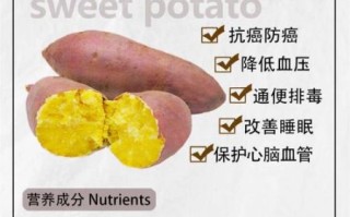 番薯能减肥吗_番薯的功效与作用