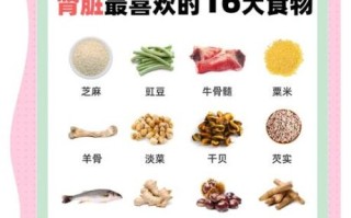 肾虚吃什么食物补最快_肾虚吃什么食物效果最好