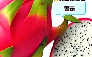 火龙果一天吃几个最好_吃多了会怎样