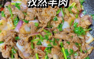羊肉怎么做好吃_家常羊肉菜谱大全