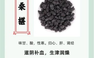 桑椹功效与作用及食用方法_桑椹一天吃多少合适