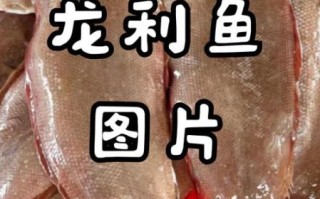 龙利鱼长什么样子_龙利鱼外形特征
