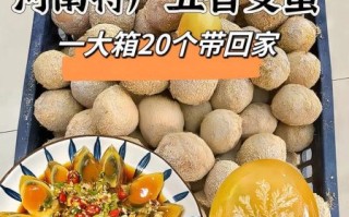 河南变蛋怎么做_河南变蛋正宗做法