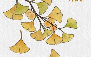 银杏树简笔画怎么画_银杏树简笔画步骤