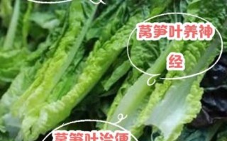 莴笋叶子能吃吗_莴笋叶子的功效与作用