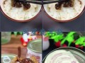 洋菇罐头怎么保存_洋菇罐头可以生吃吗