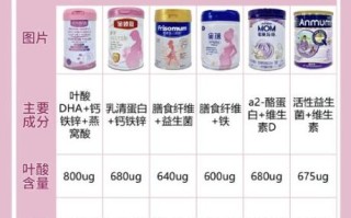 孕妇奶粉哪个牌子好_孕妇奶粉口碑最好的品牌