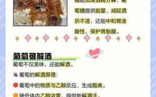 解酒食物有哪些_解酒食物真的有用吗