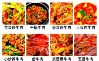 烧牛肉怎么做好吃又嫩_家常烧牛肉的秘诀