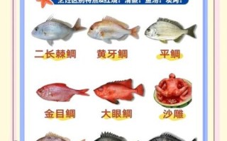 鲷鱼种类有哪些_如何区分常见鲷鱼