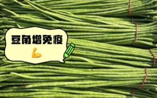 长豆角的功效与作用_长豆角的禁忌有哪些