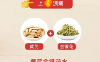 女人吃黄芪的最佳时间_什么时候吃效果最好
