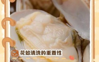 花蛤怎么清洗_花蛤的做法大全