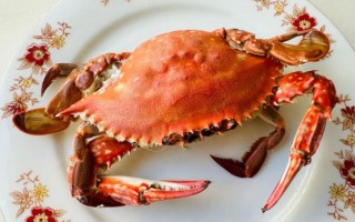螃蟹怎么蒸才鲜嫩_螃蟹怎么做好吃又简单