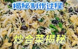 素炒合菜怎么做_素炒合菜的家常做法步骤