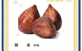 蛇皮果的营养价值_蛇皮果的功效与作用