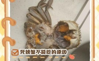 螃蟹死了当天可以吃吗_如何判断死蟹是否安全