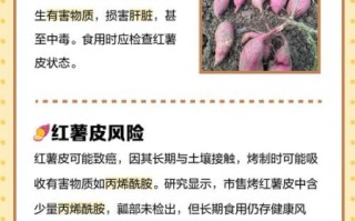 红薯皮的功效与作用_红薯皮可以吃吗