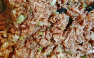 小笼包的做法和配方_小笼包怎么和面才透亮