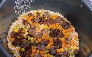 腊肠焖饭电饭锅做法_腊肠焖饭电饭锅水米比例