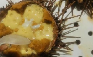 海胆蒸蛋怎么做_海胆蒸蛋的正宗做法