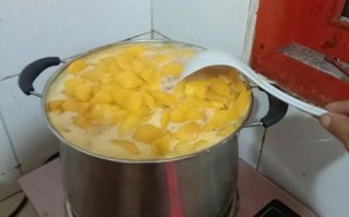 水果罐头蒸好还是煮法好_家庭自制口感对比