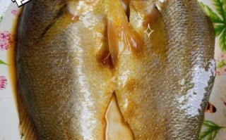 黄瓜鱼怎么做好吃_黄瓜鱼的营养价值